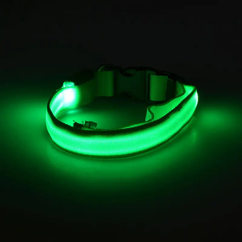LED Light Up Collar