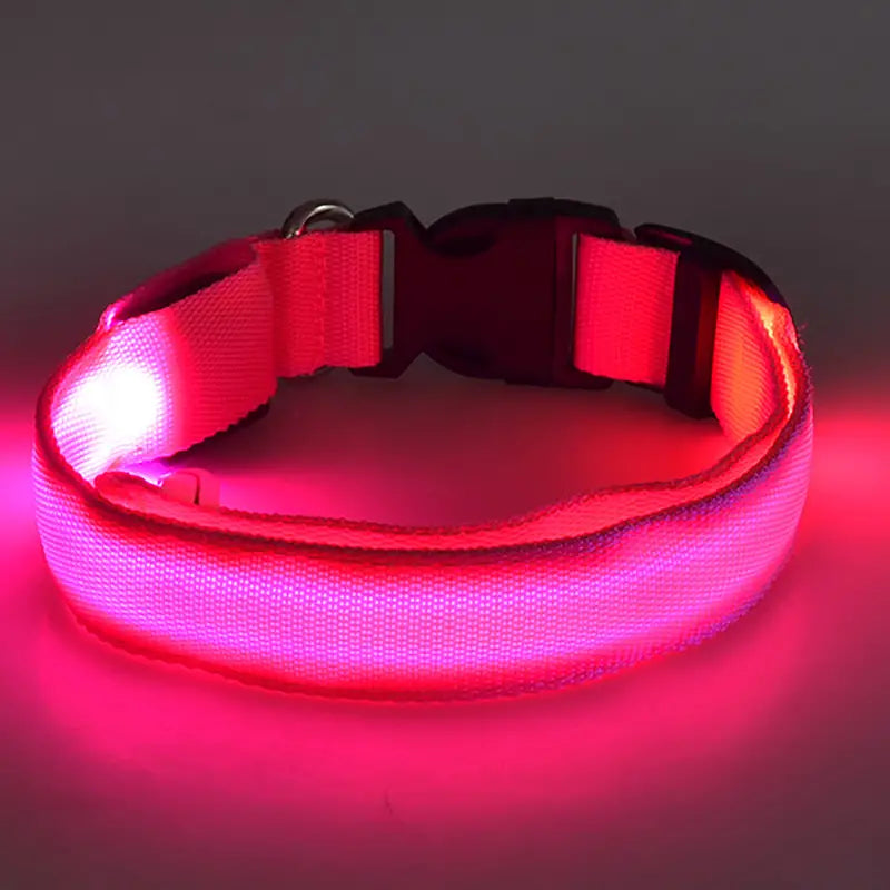 LED Light Up Collar
